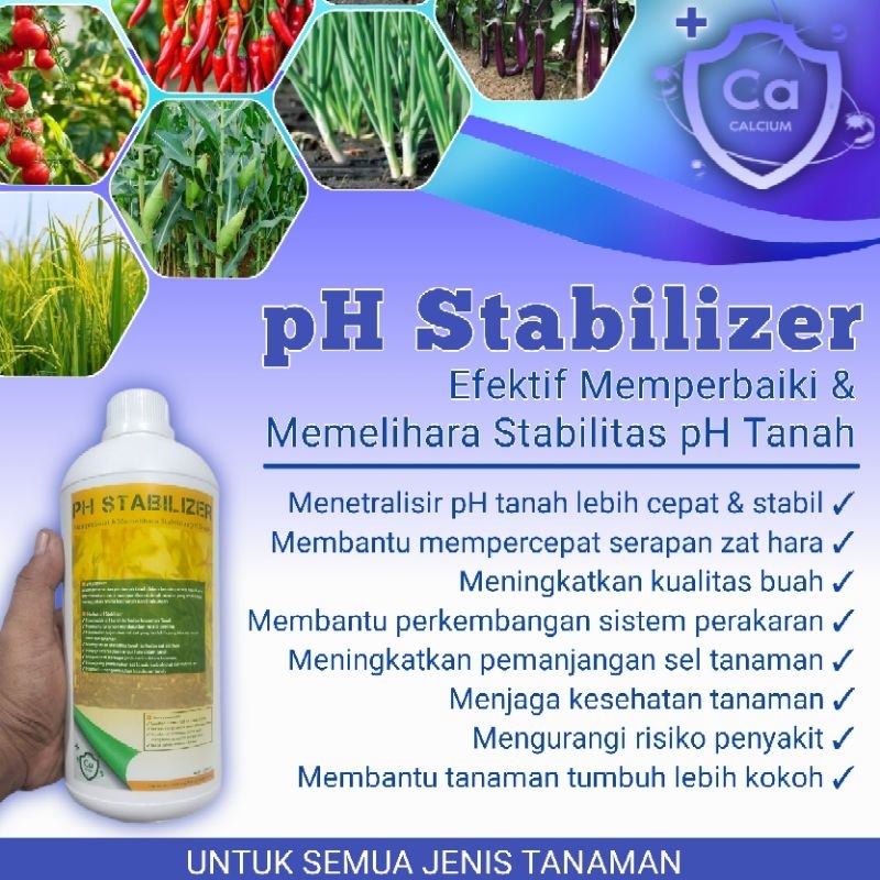 Harga ph stabilizer Terbaru Agt 2025 | BigGo Indonesia