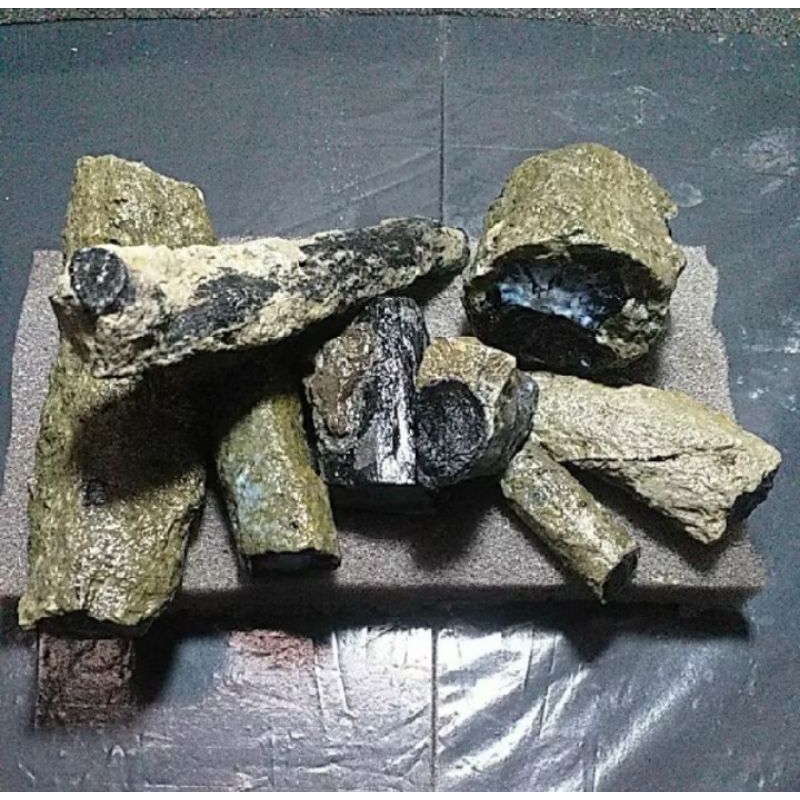 Harga bongkahan kalimaya Terbaru Jan 2026 | BigGo Indonesia