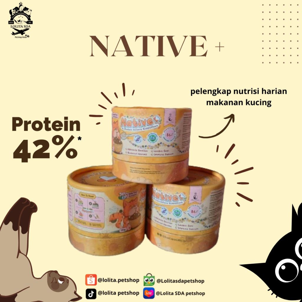 Harga tinggi protein kucing Terbaru Feb 2026 | BigGo Indonesia