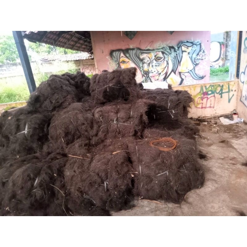 Harga ijuk per Terbaru Jun 2025 | BigGo Indonesia