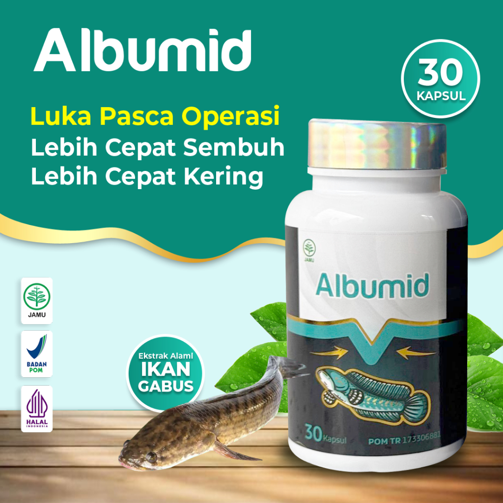 Harga Protein Albumin Terbaru Sep 2025 | BigGo Indonesia