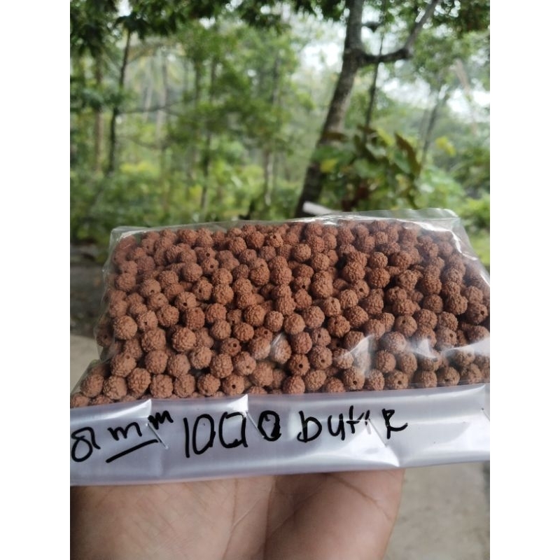Harga bahan tasbih jenitri Terbaru Jun 2026 | BigGo Indonesia