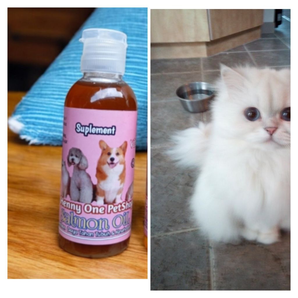 Harga salmon oil kucing terbaik Terbaru Jun 2026 | BigGo Indonesia