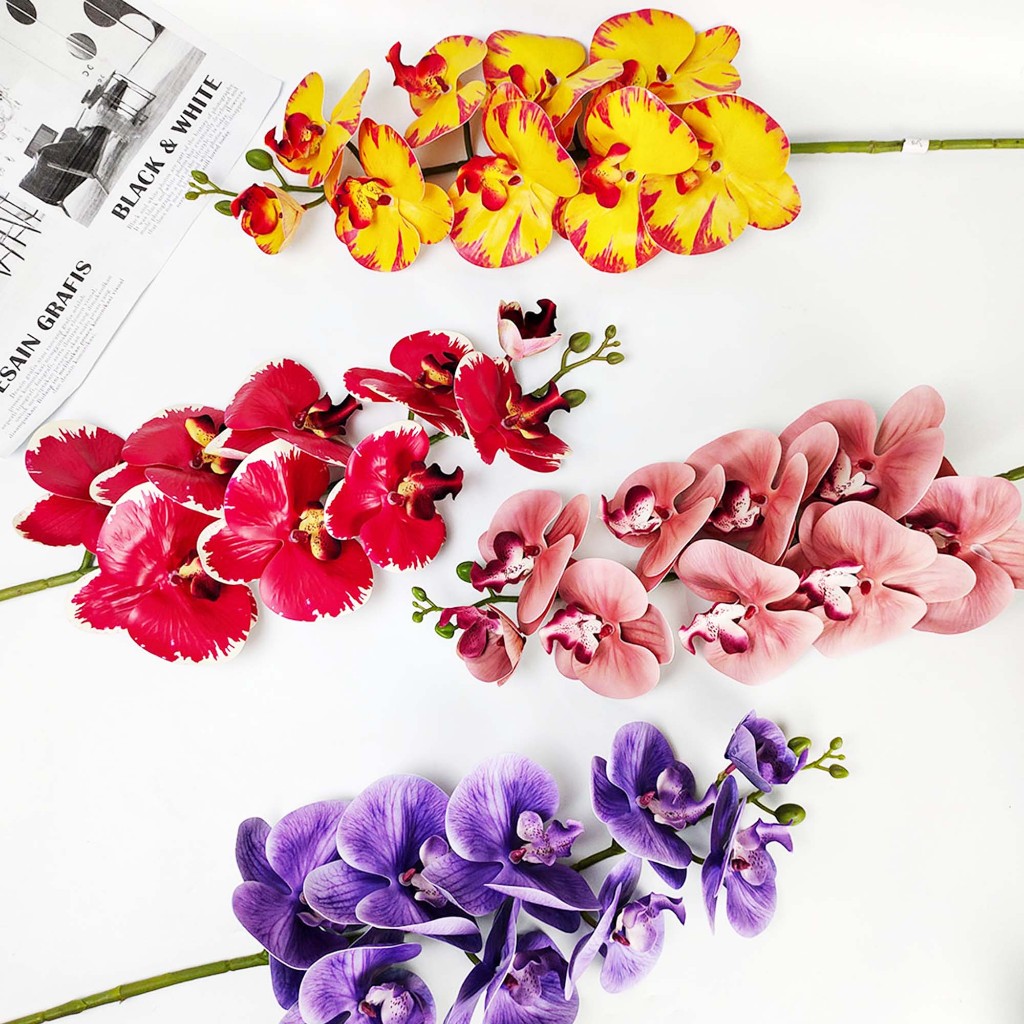 Harga bunga anggrek bulan latex palsu Terbaru Nov 2025 | BigGo Indonesia