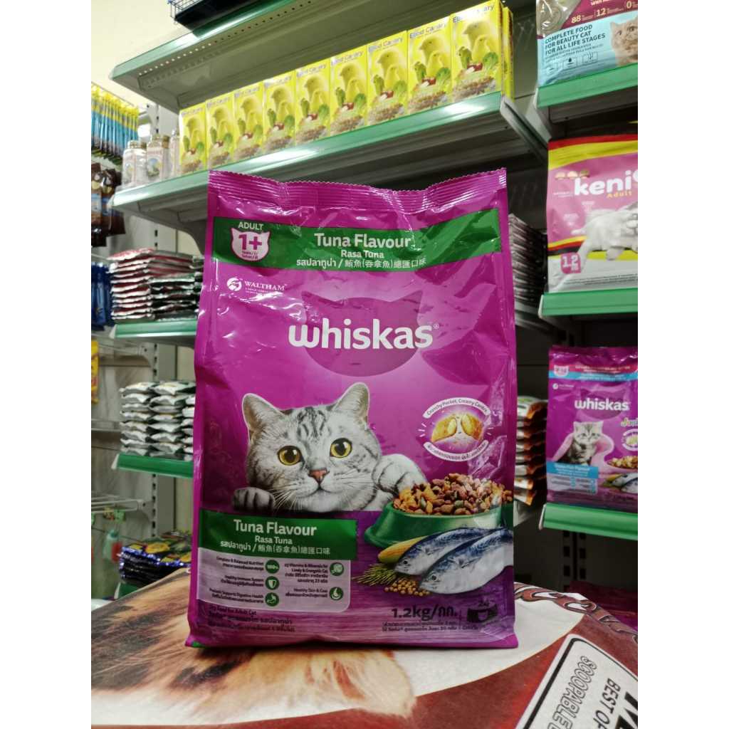 Harga Whiskas 1KG Kitten Terbaru Jun 2026 | BigGo Indonesia
