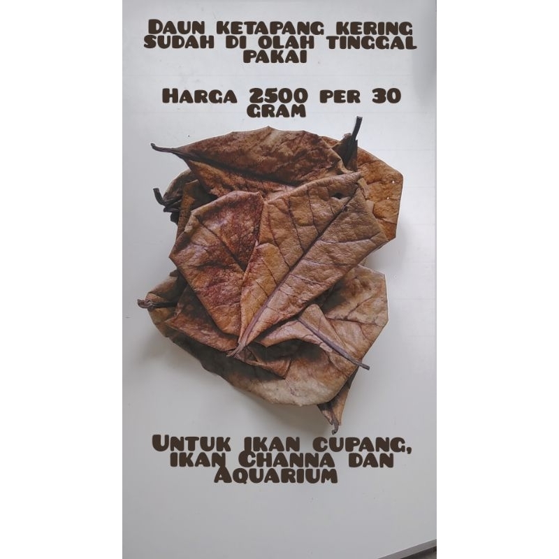 Harga Daun Aquarium Channa Terbaru Jun 2026 | BigGo Indonesia