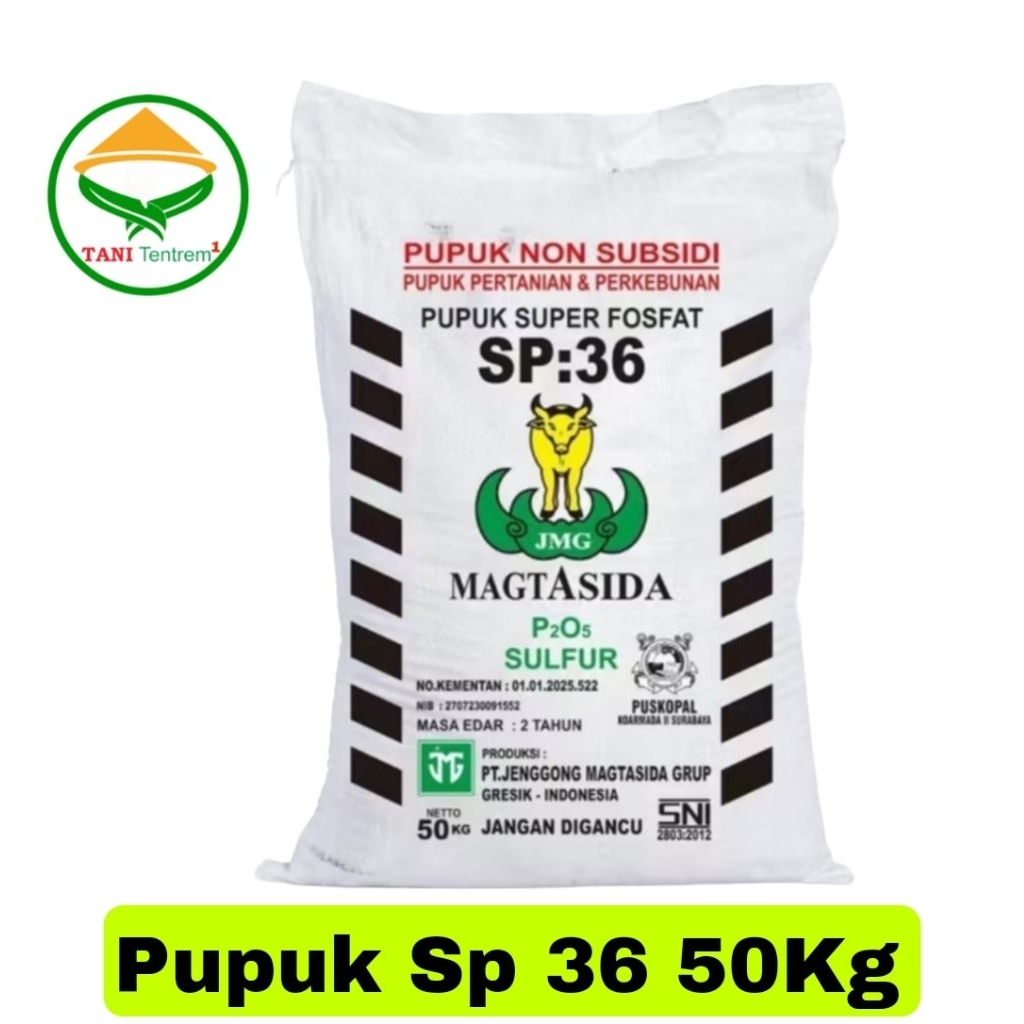 Harga pupuk sp 36 1 karung Terbaru Okt 2025 | BigGo Indonesia