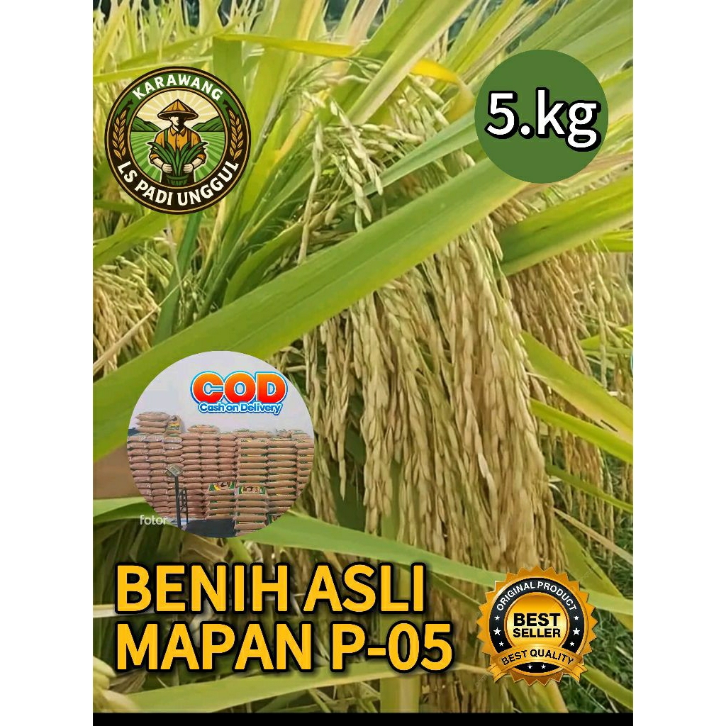 Harga mapan 05 original 5kg Terbaru Okt 2025 | BigGo Indonesia