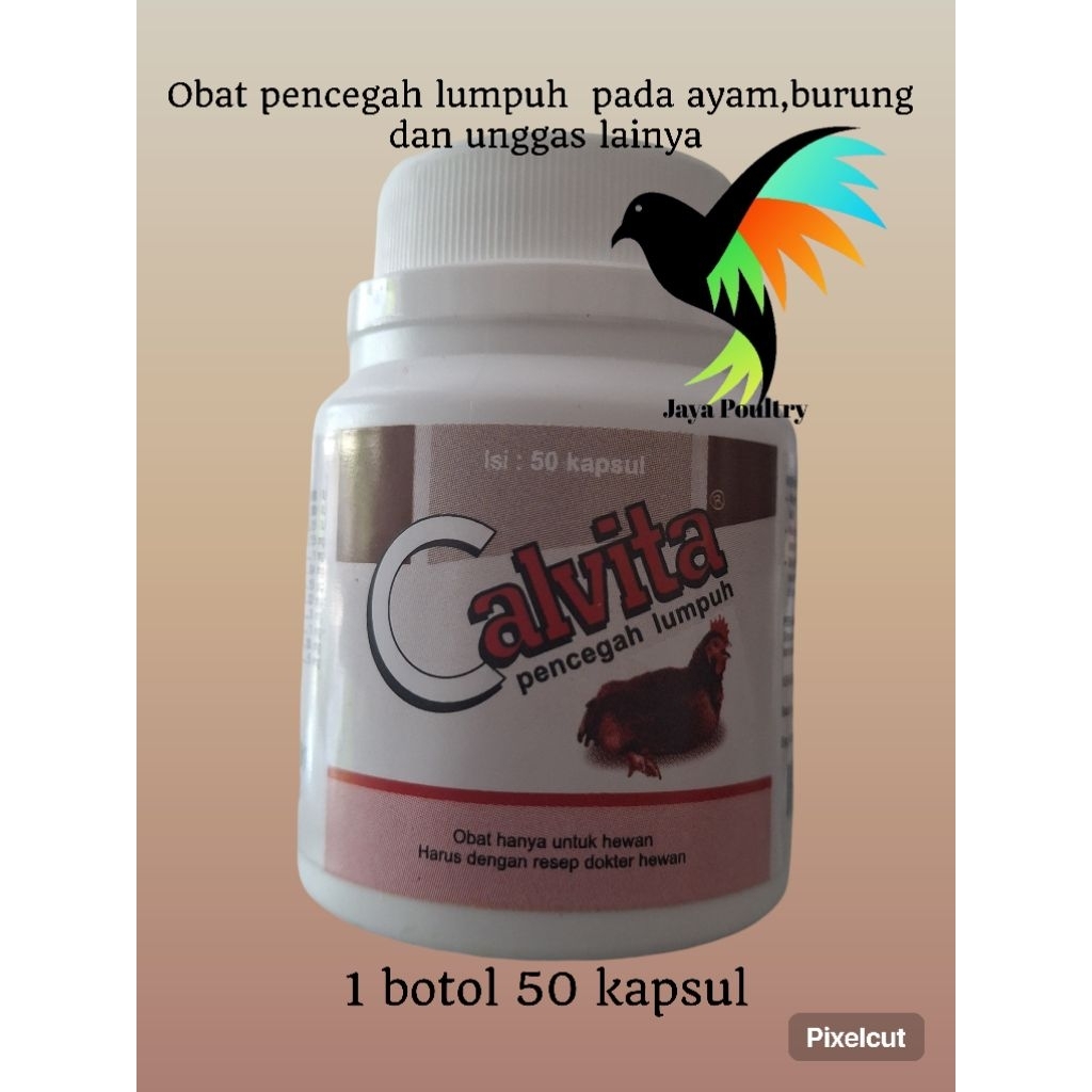 Harga obat lumpuh ayam jago Terbaru Feb 2026 | BigGo Indonesia