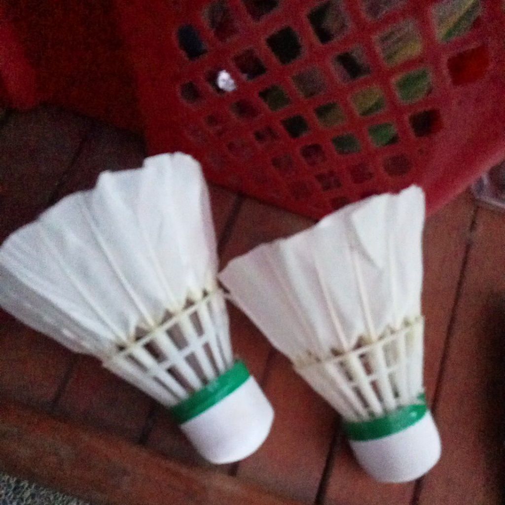 Harga Shuttlecock Satuan Terbaru Jun 2026 | BigGo Indonesia