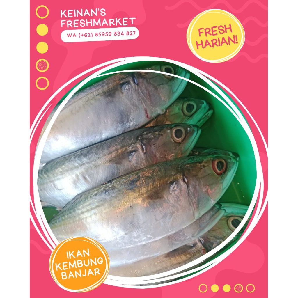 Harga ikan kembung fresh 1 kg Terbaru Apr 2026 | BigGo Indonesia
