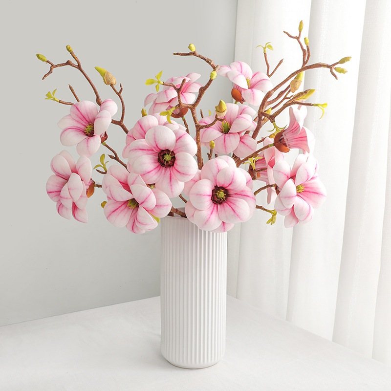 Harga Magnolia Bunga Terbaru Jun 2026 | BigGo Indonesia