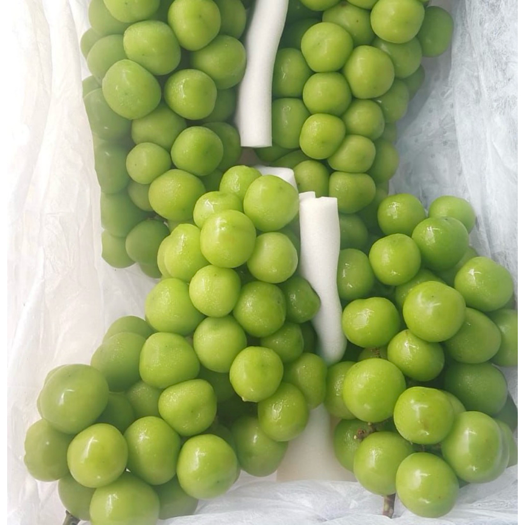 Harga Anggur Muscat 1 KG Terbaru Mei 2026 | BigGo Indonesia