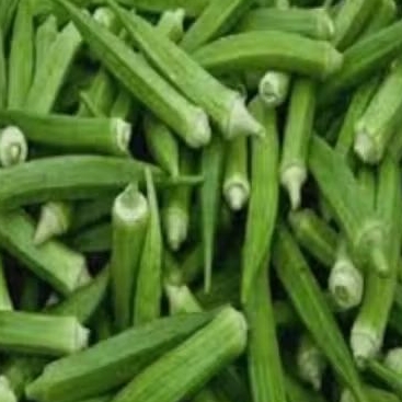 Harga okra 1kg Terbaru Mei 2026 | BigGo Indonesia