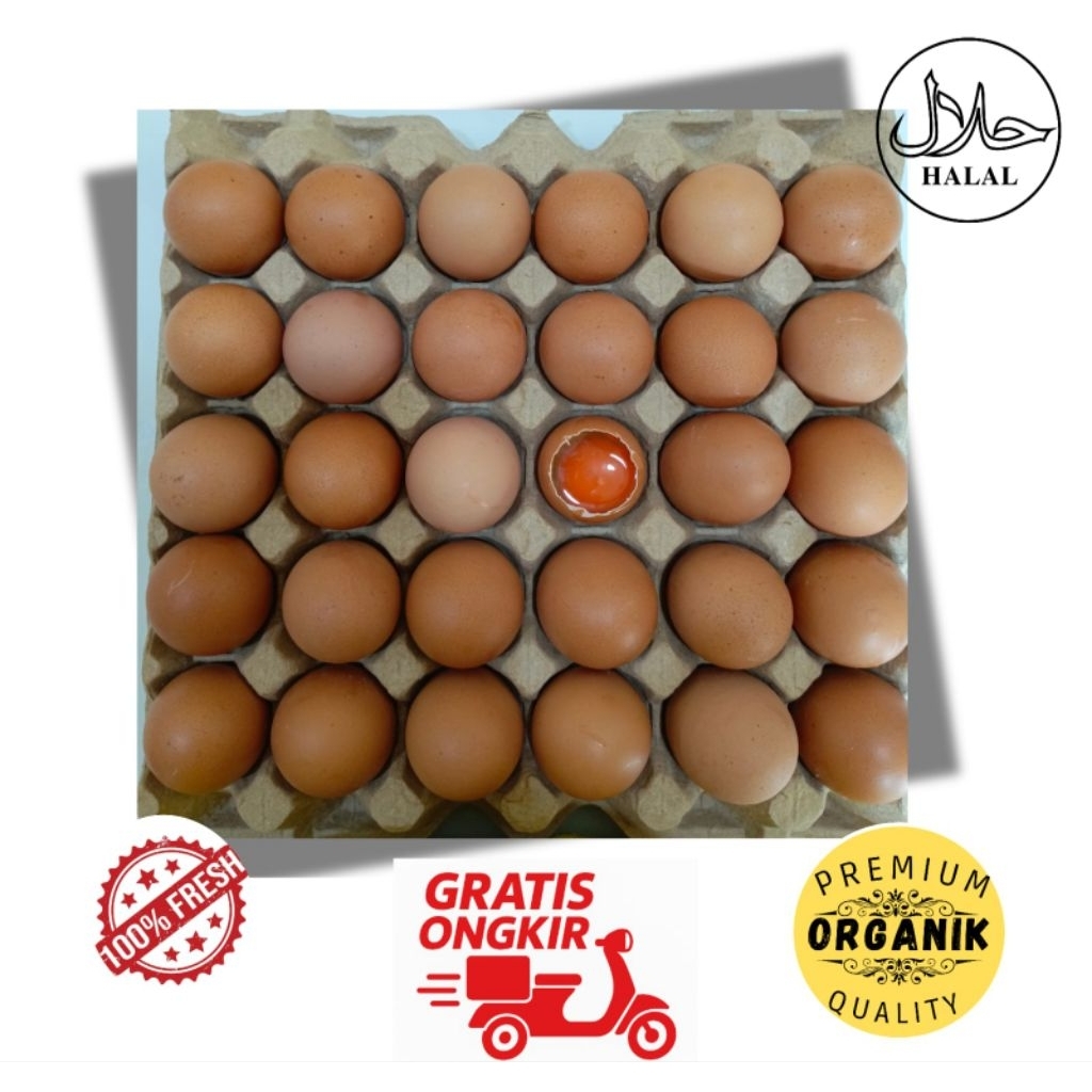 Harga Telor Omega 3 30 Butir Terbaru Jun 2026 | BigGo Indonesia