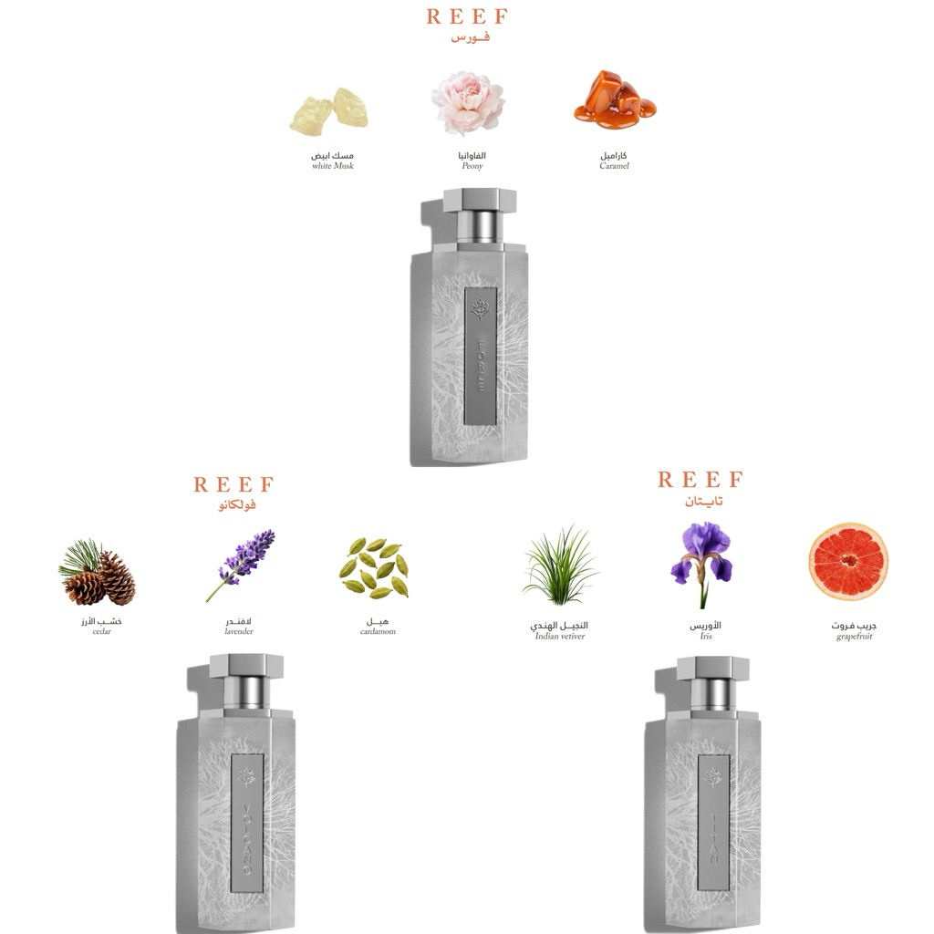 Harga reef perfume Terbaru Jun 2026 | BigGo Indonesia