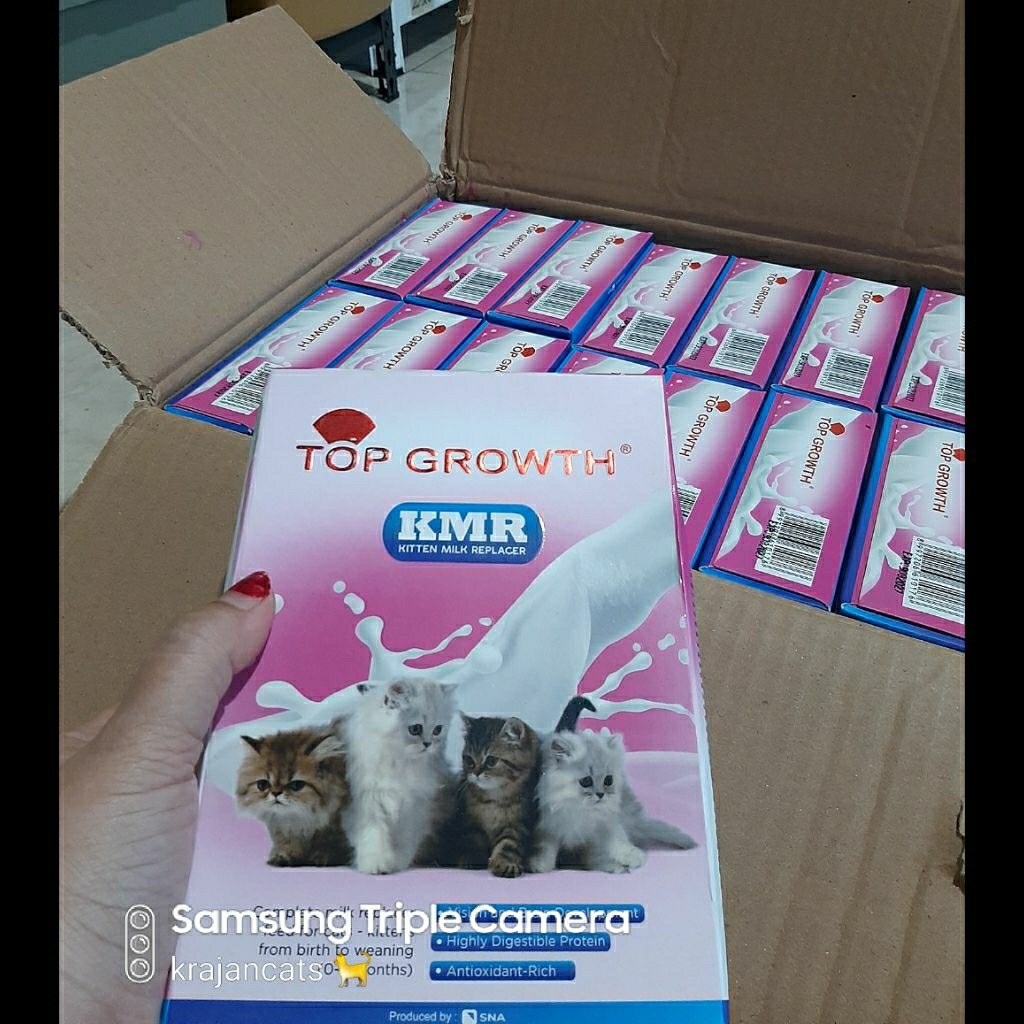 Harga kmr susu kucing Terbaru Jun 2026 | BigGo Indonesia