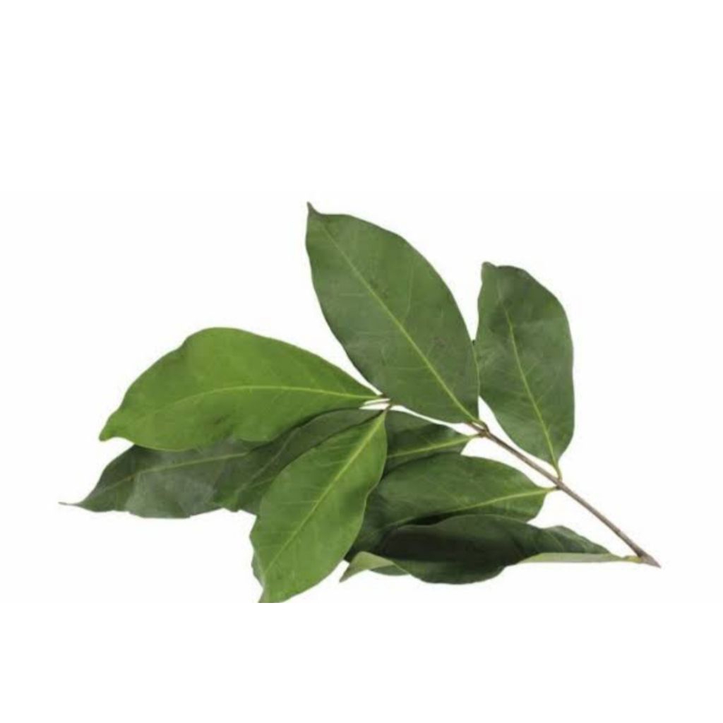 Harga daun salam segar 1 kg Terbaru Jun 2026 | BigGo Indonesia