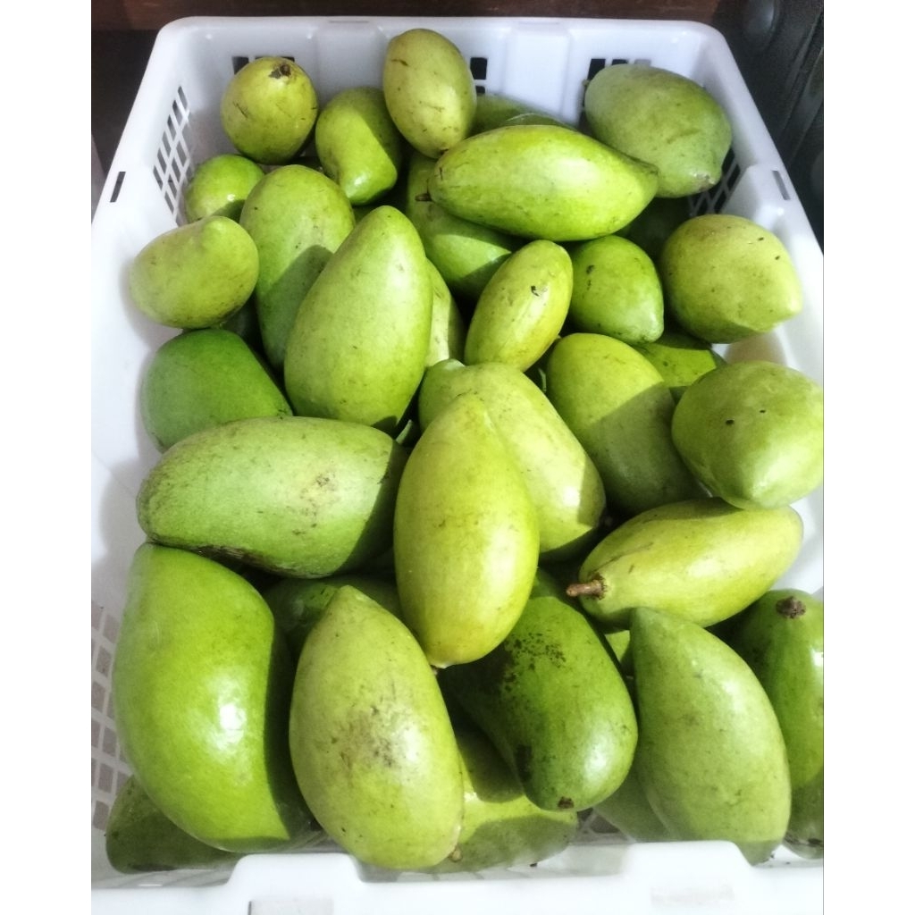 Harga Mangga Muda 1 KG Terbaru Jan 2026 | BigGo Indonesia
