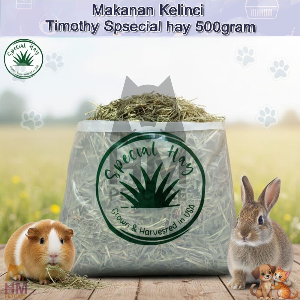 Harga Timothy HAY 500GR Terbaru Jun 2026 | BigGo Indonesia