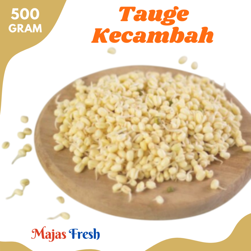 Harga Harga Toge per kg terbaru Terbaru Mei 2026 | BigGo Indonesia