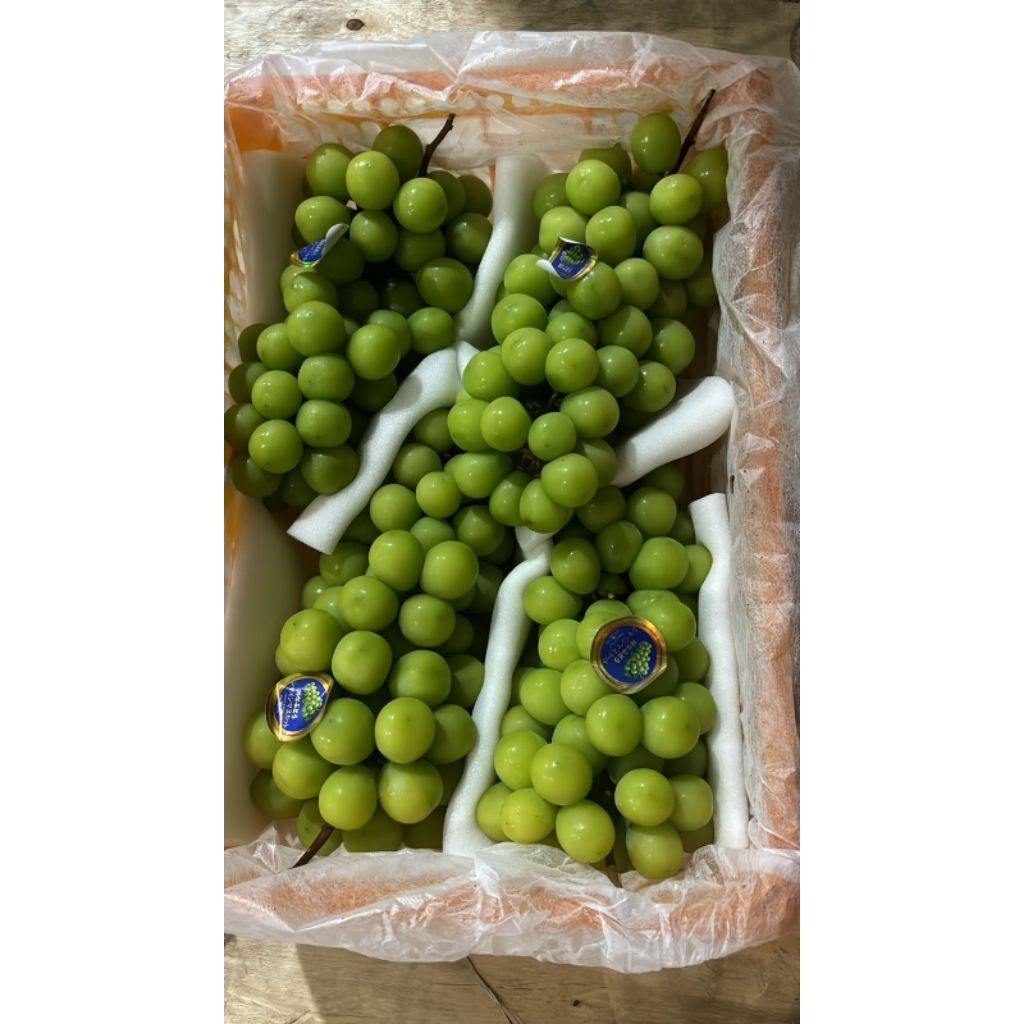 Harga Anggur Muscat 1 KG Terbaru Mar 2026 | BigGo Indonesia