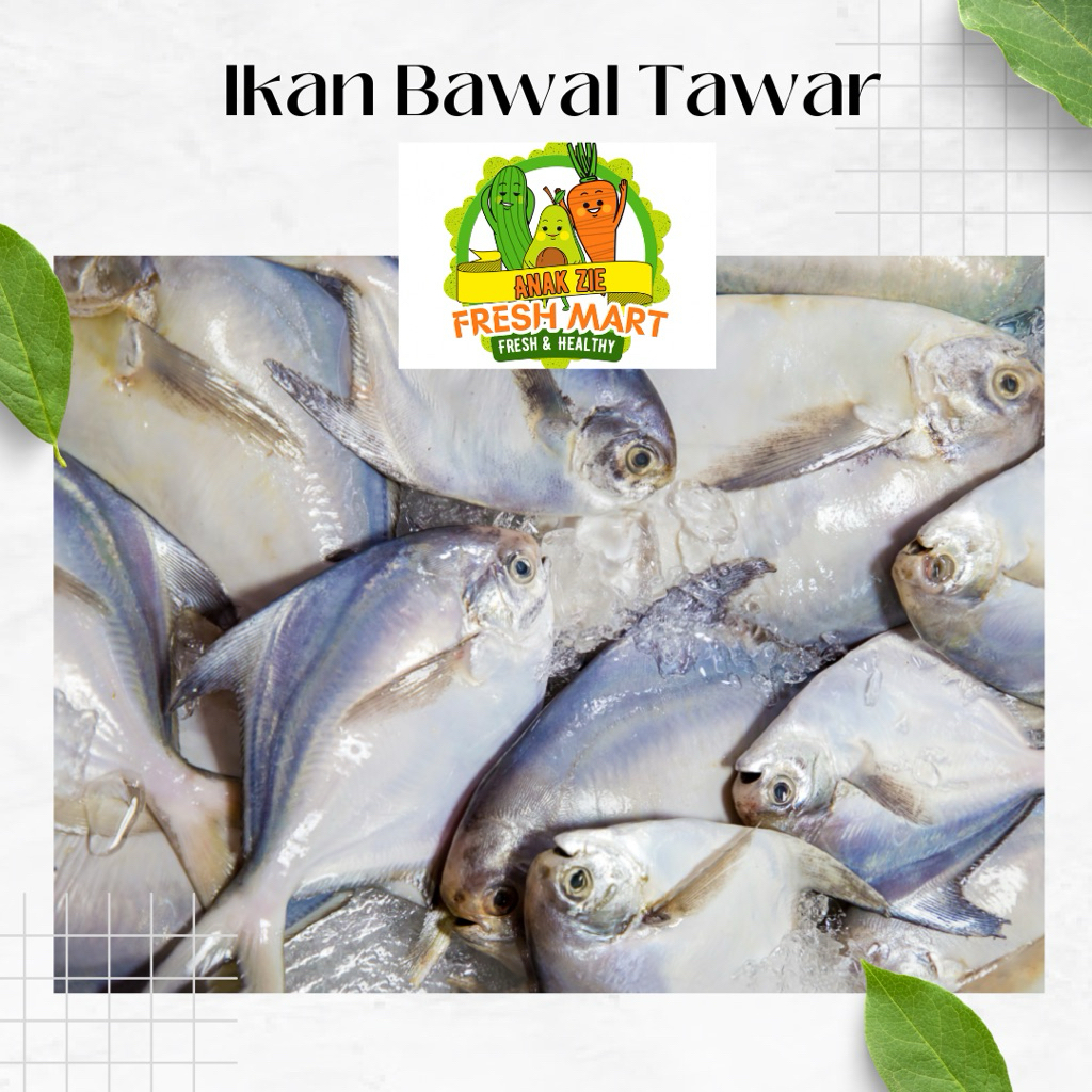 Harga Ikan Fresh Bandung Terbaru Jun 2026 | BigGo Indonesia