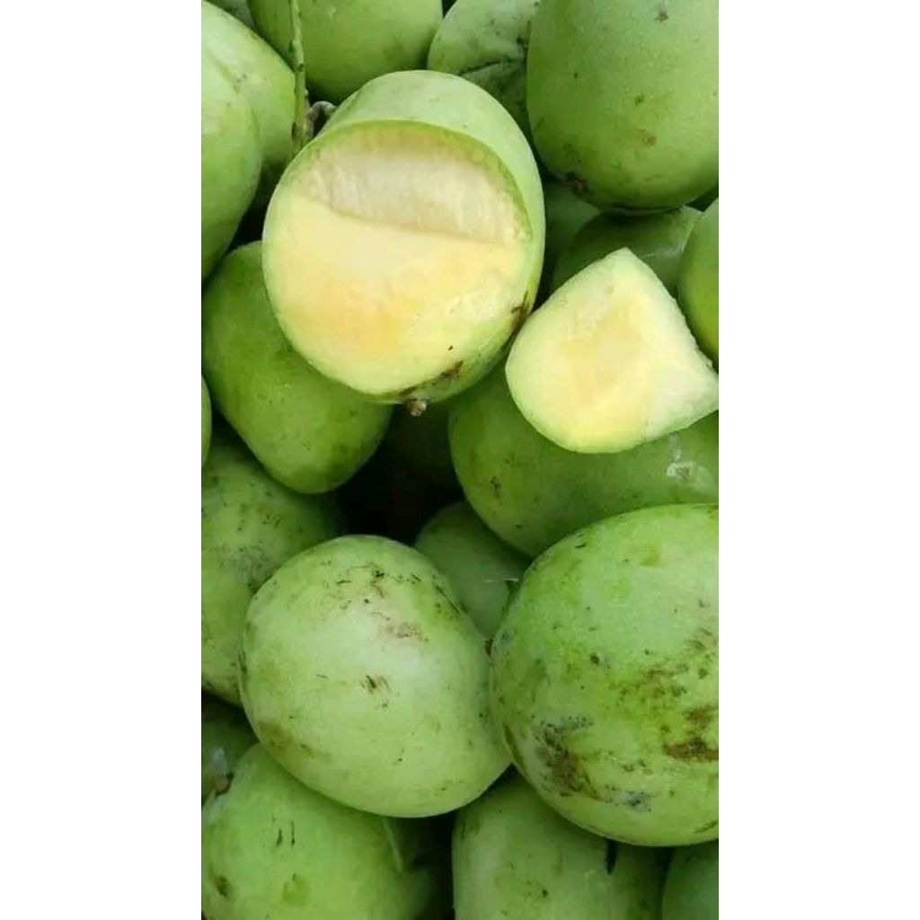 Harga Mangga Muda 1 KG Terbaru Jun 2026 | BigGo Indonesia