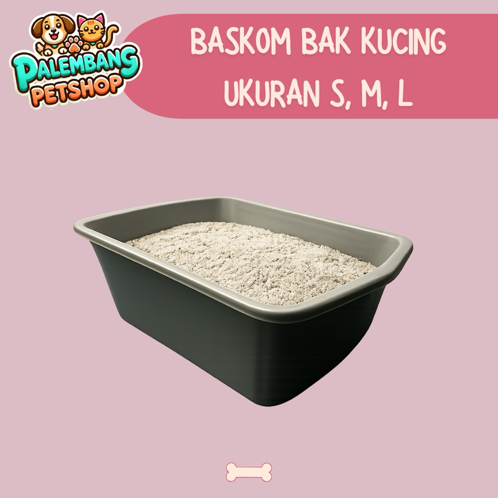 Harga kucing palembang Terbaru Jun 2026 | BigGo Indonesia