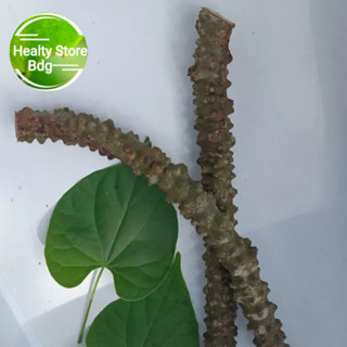 Jual Batang Batrawali Atau Patrawali Brotowali Segar Per batang ...