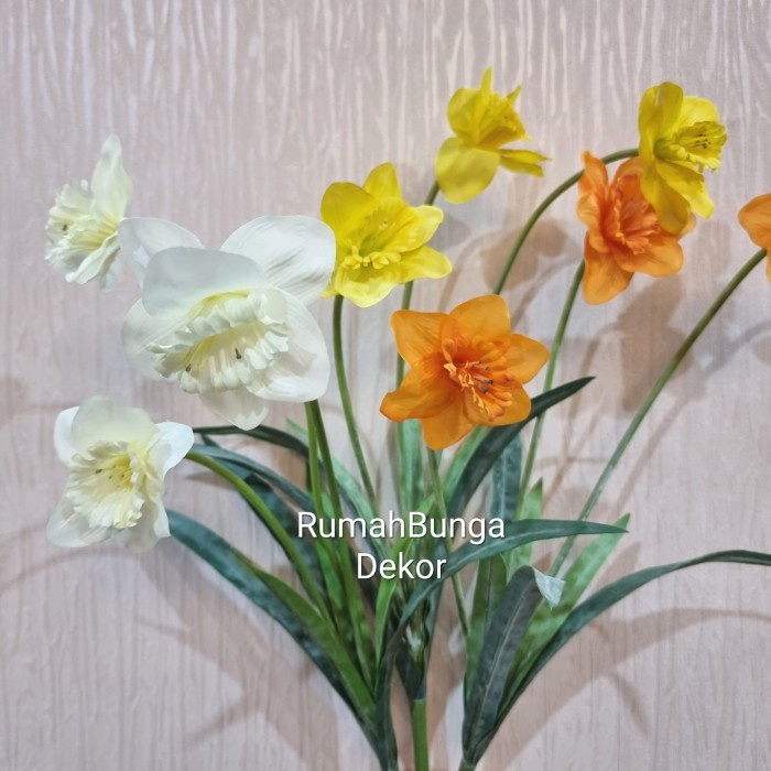 Harga Daffodil Bunga Terbaru Feb 2026 Biggo Indonesia