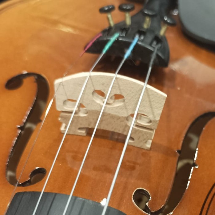 Harga db violin Terbaru Mei 2025 | BigGo Indonesia