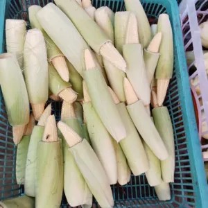 Harga putren 1kg Terbaru Mei 2026 | BigGo Indonesia