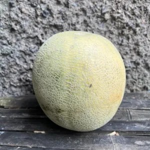 Harga Melon 1 KG Terbaru Jun 2026 | BigGo Indonesia