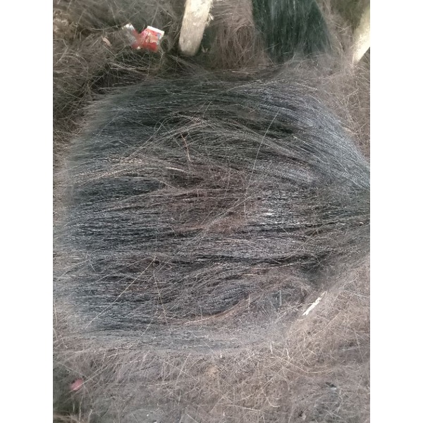 Jual IJUK AREN SISIRAN PANJANG SIAP PAKAI, BAHAN SAPU IJUK,TALI TAMBANG ...