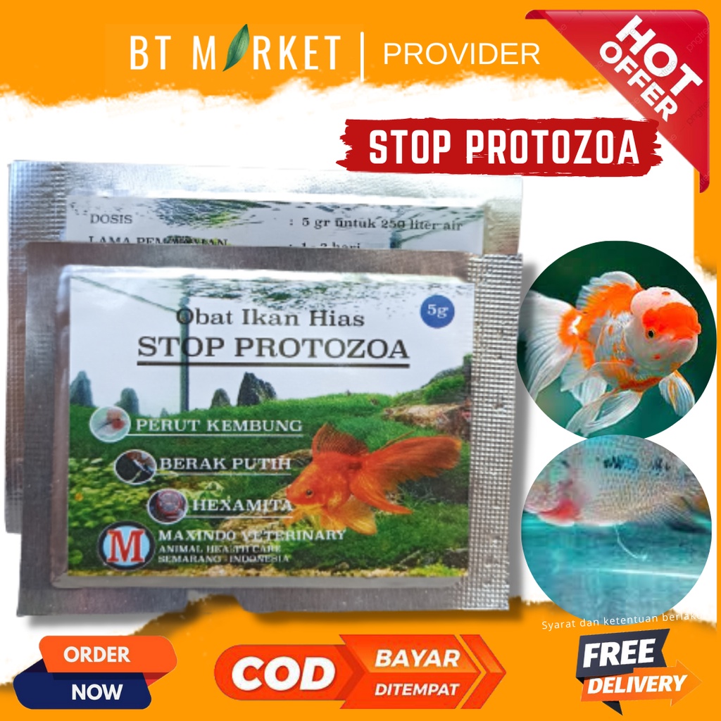 Jual STOP PROTOZOA Obat Ikan Hias (Mengobati Perut Kembung, Kotoran ...