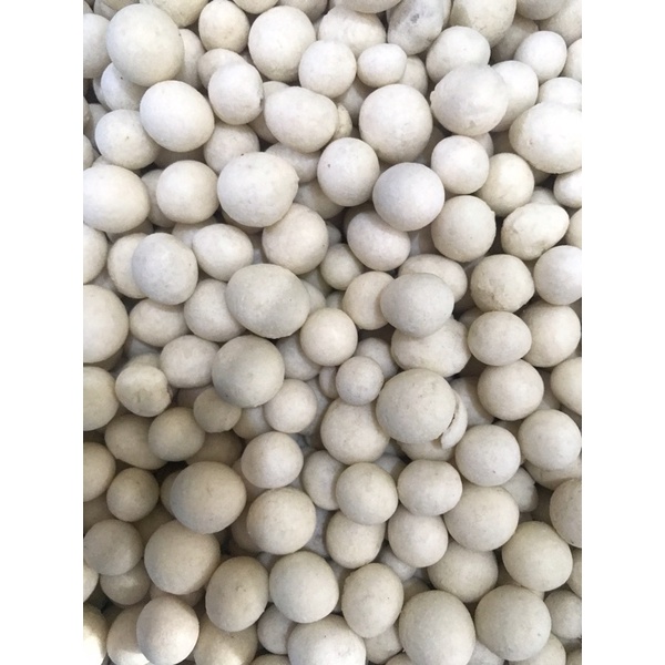 Jual kacang sukro dalas putih originl 500gr | Shopee Indonesia