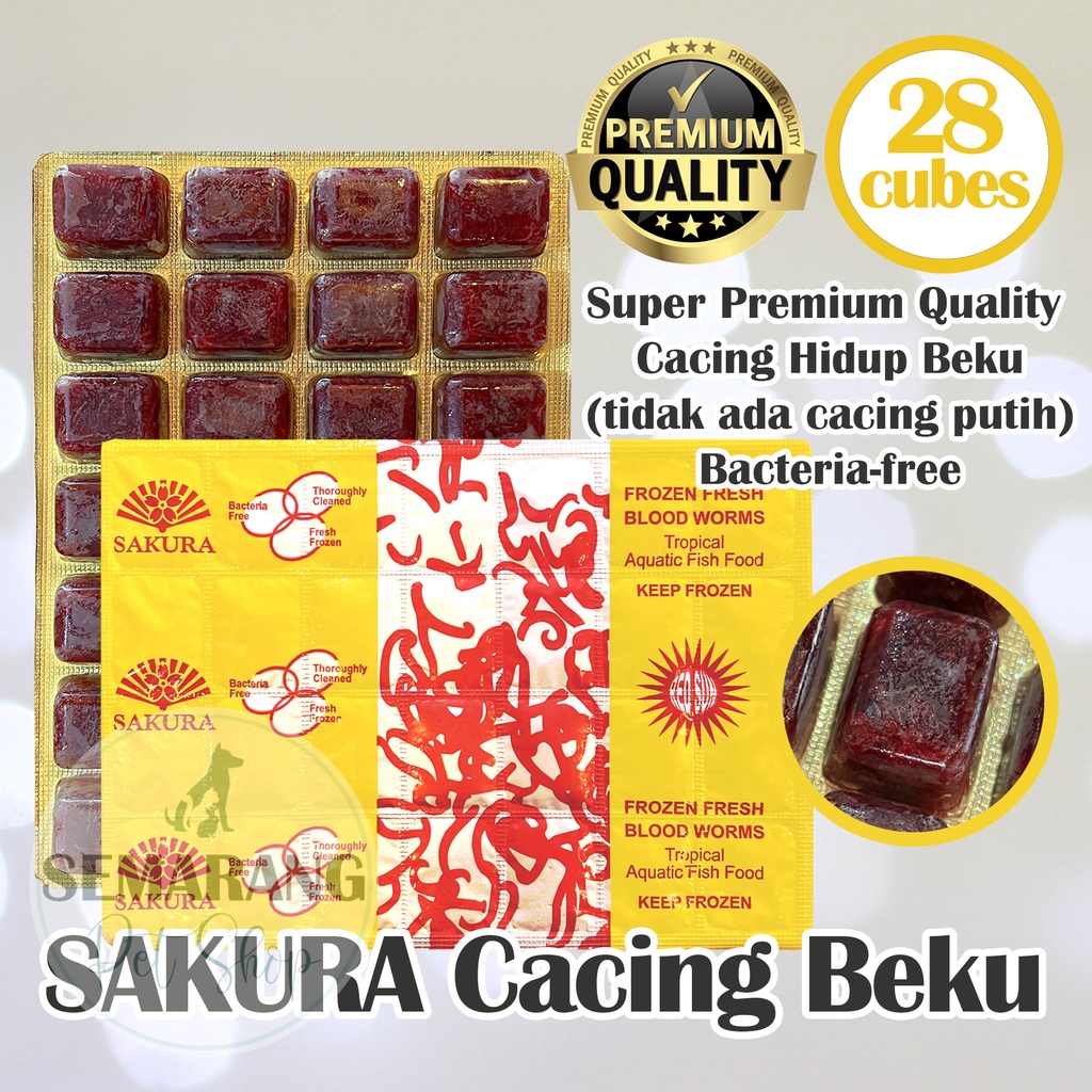Jual Frozen Bloodworm SAKURA Cacing Darah Beku Premium 100gr Cabek ...
