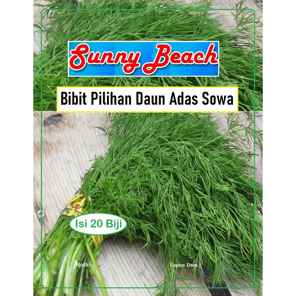 Jual Bibit Pilihan Daun Adas Sowa | Benih Daun Dill Adas| Bibit Sayur ...
