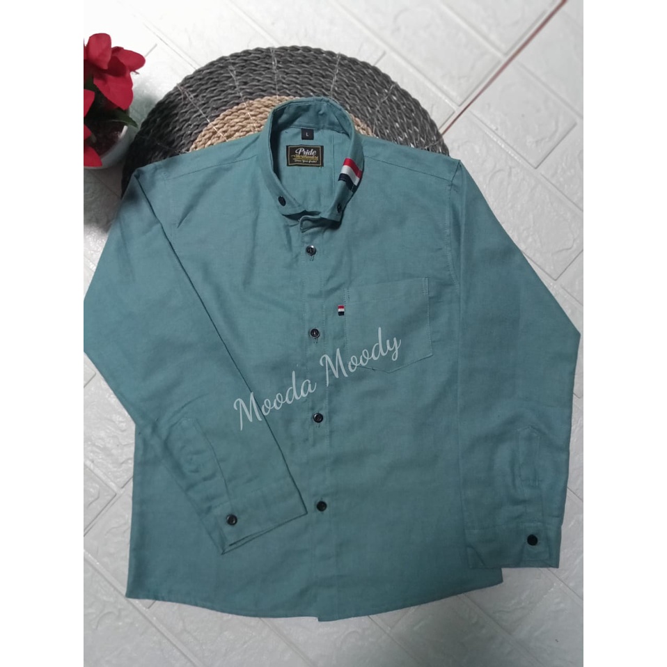 Jual Mooda Moody - Kemeja Anak Laki Laki Lengan Panjang Warna Hijau ...