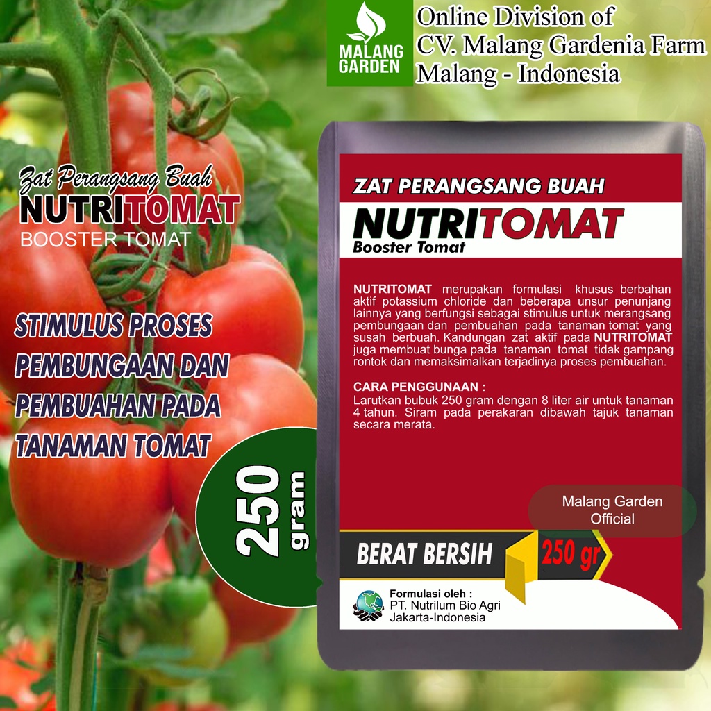 Jual Zat Perangsang Buah Tomat NUTRITOMAT 250 gram | Pupuk Booster Pelebat Buah Tomat dan ...