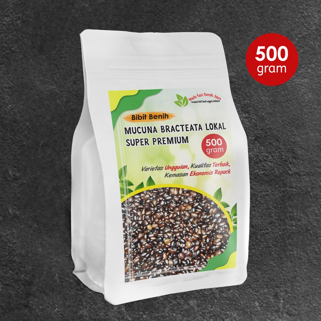 Jual Benih kacang kacangan benih Mucuna Bracteata lokal super premium ...