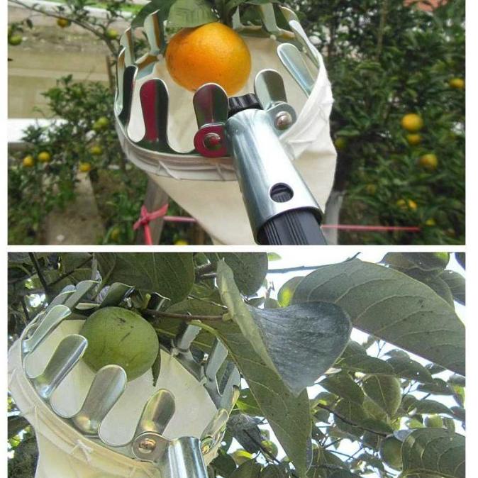 Jual Alat Pemetik Buah Pertanian Kebun Alat Petik Buah Pemanen Buah ...