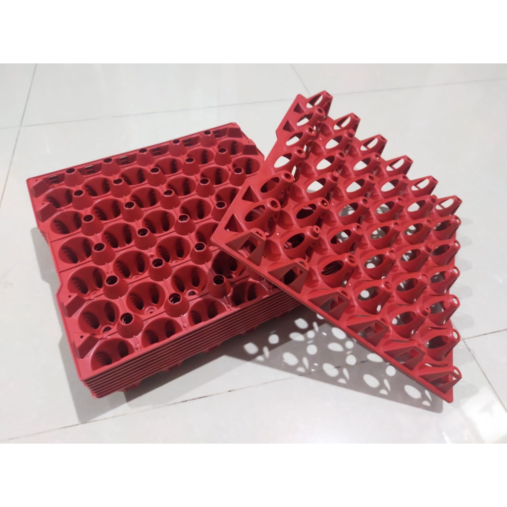 Jual Tatakan Telur Rak Telur 30 Butir Plastik Egg Tray Murah | Shopee ...