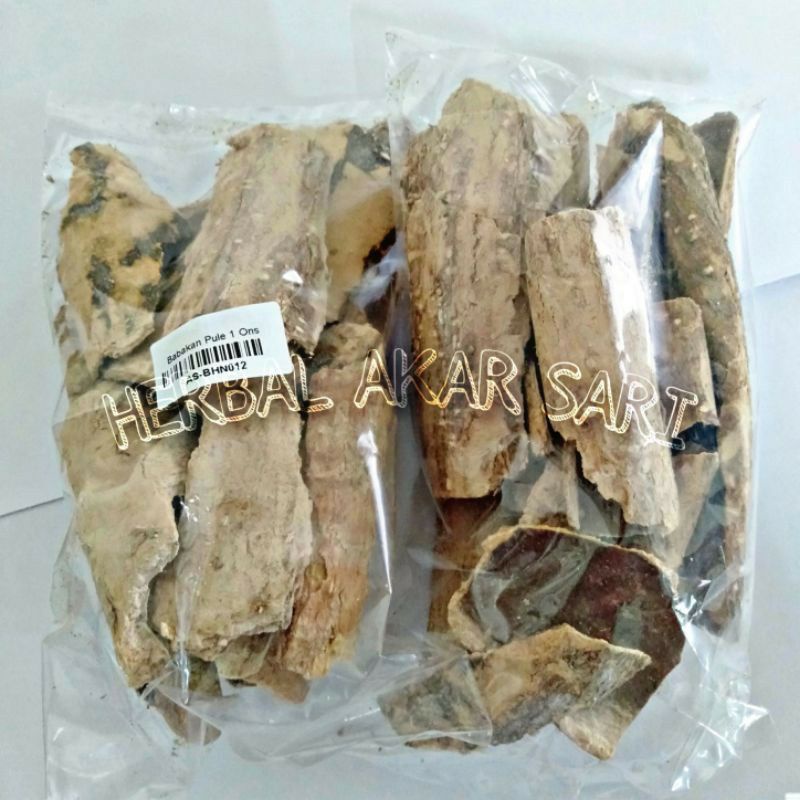 Jual Akar Sari - Babakan Pule/Kulit Kayu Pohon Pule 100 Gram | Shopee ...