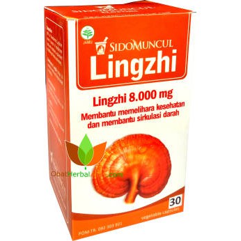 Jual JAMUR LINGZHI SIDOMUNCUL 30 KAPSUL, JAMU OBAT HERBAL DARAH TINGGI ...