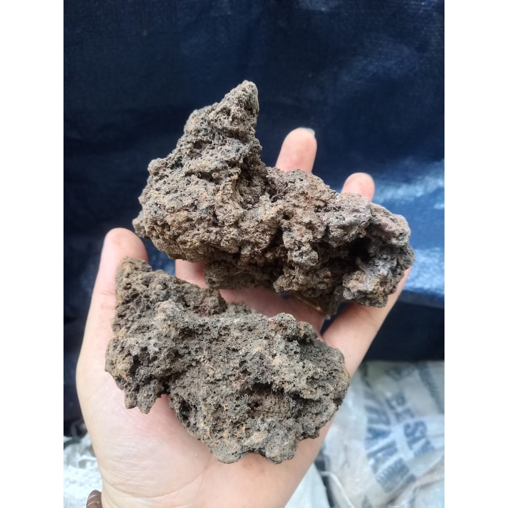 Jual BATU LAVA ROCK 1 KG LAVAROK BATU LAVA MEDIA FILTER AQUARIUM X99 ...
