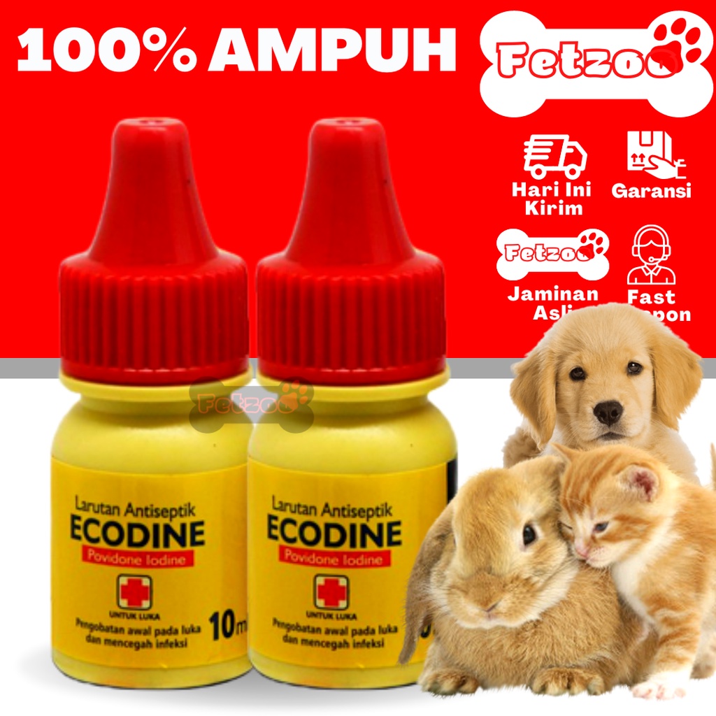 Jual Ecodine Obat Luka Kucing Anjing Kelinci 10ml Mengobati Luka Basah ...