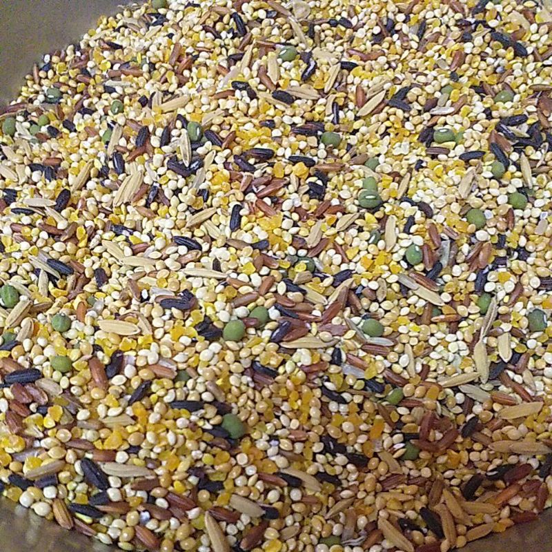 Jual Pakan burung puter derkuku terkuku kemasan 1kg | Shopee Indonesia