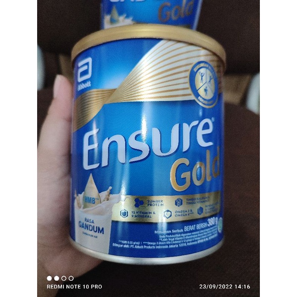 Jual Ensure Gold HMB Gandum 380 g Susu Nutrisi Rendah Laktosa 380 Gram | Shopee Indonesia